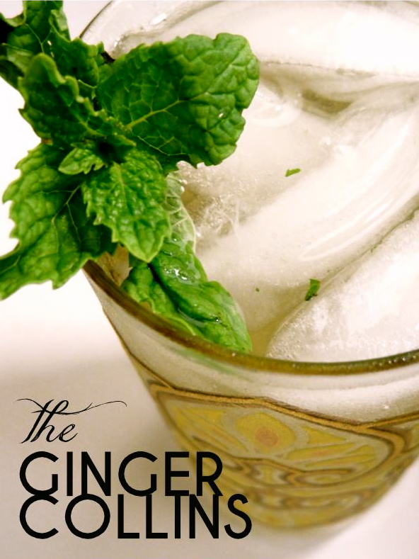 The Ginger Collins: A Cocktail - THE HIVE