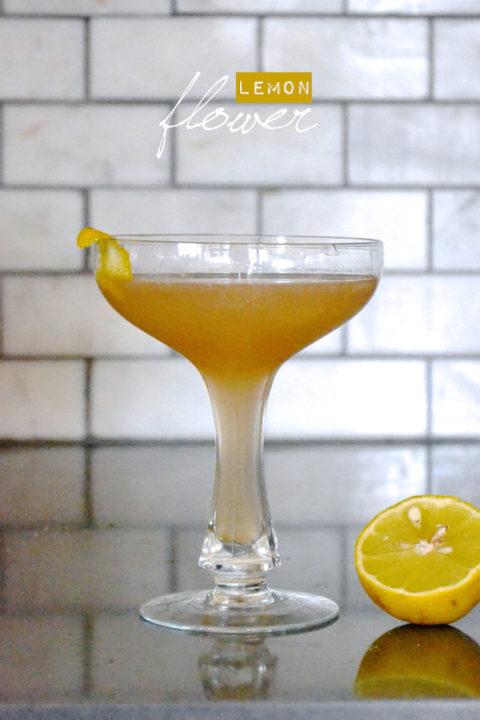 The Lemon Flower | A Cocktail Recipe - THE HIVE